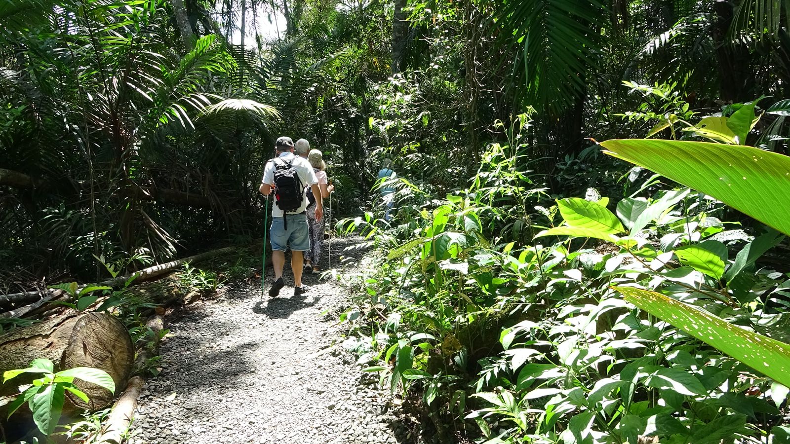 Worldschool Panamá | Panama as a Living Classroom